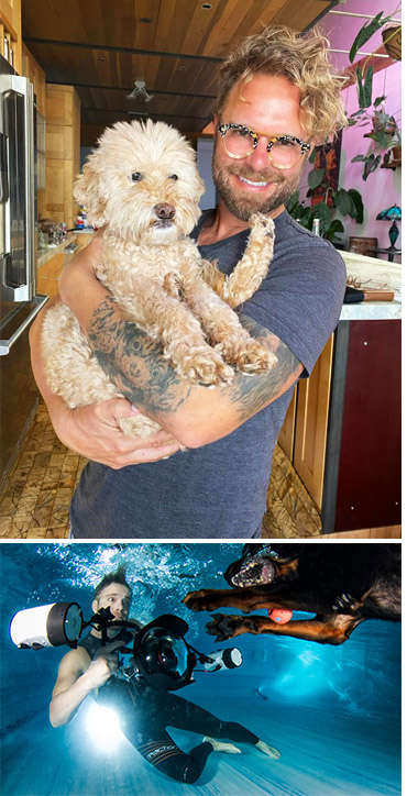 Underwater Dogs Big Dog, Little Dog By Seth Casteel | Paper Plus